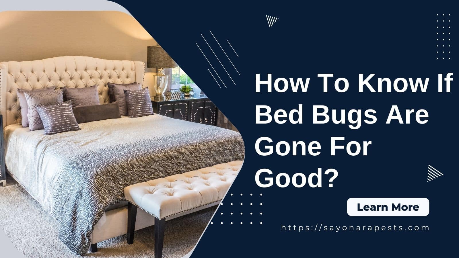 How To Know If Bed Bugs Are Gone For Good? | Sayonara Pests