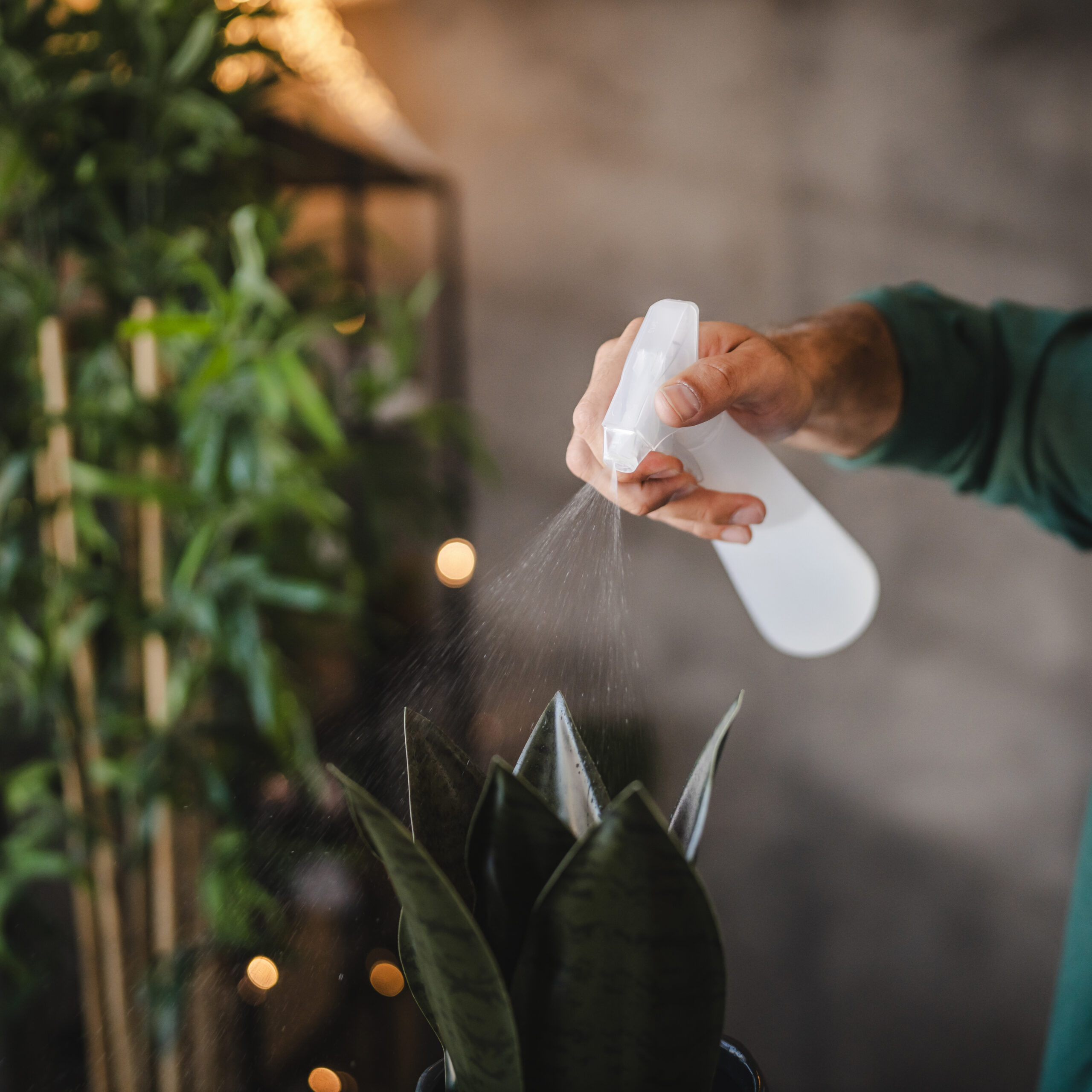 Natural Pest Control Strategies: Protect Your Home and the Environment ...